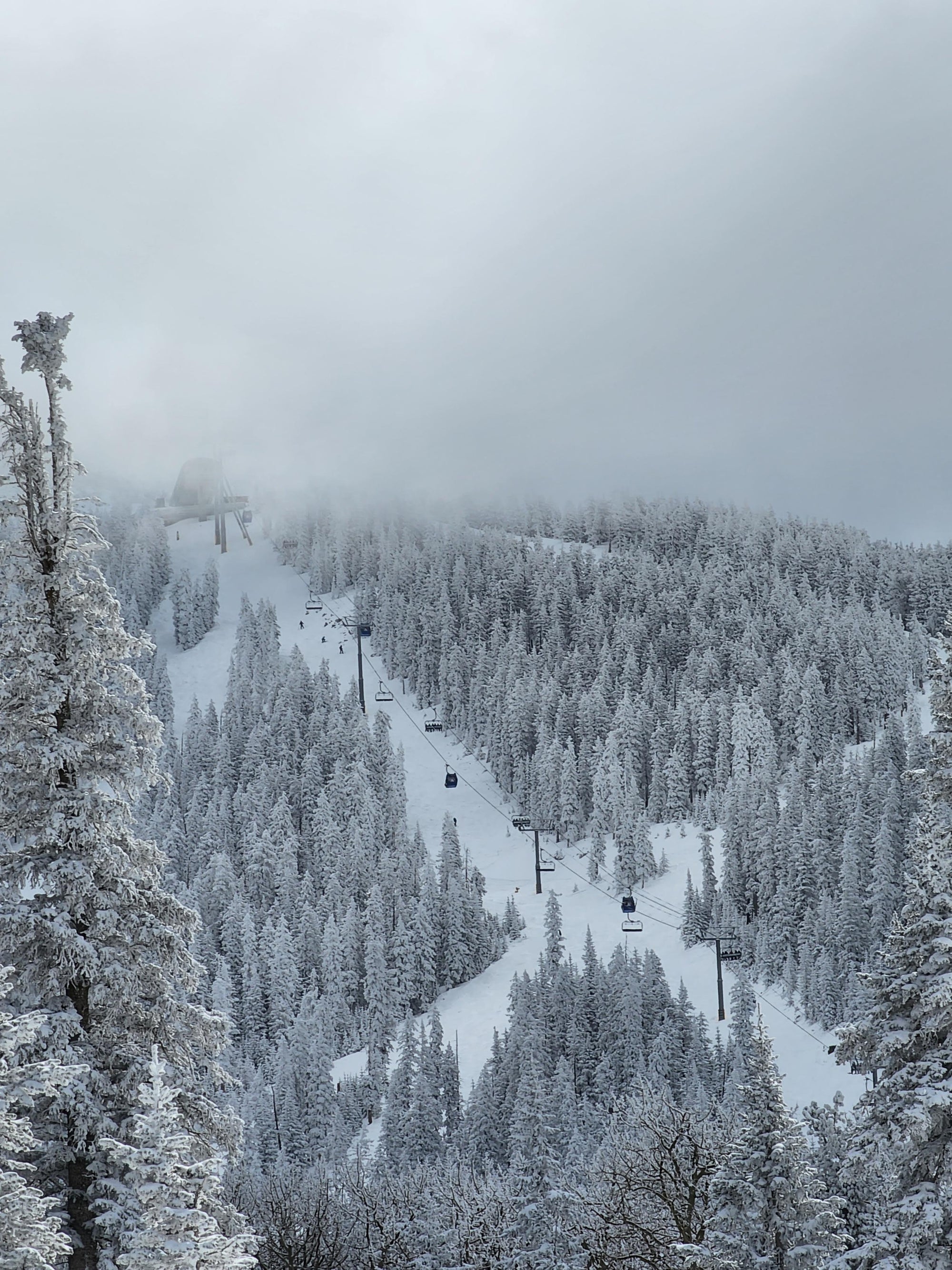 Ski Pro® Official Site | Winter & Summer Sports Gear | Shop Now — Ski ...