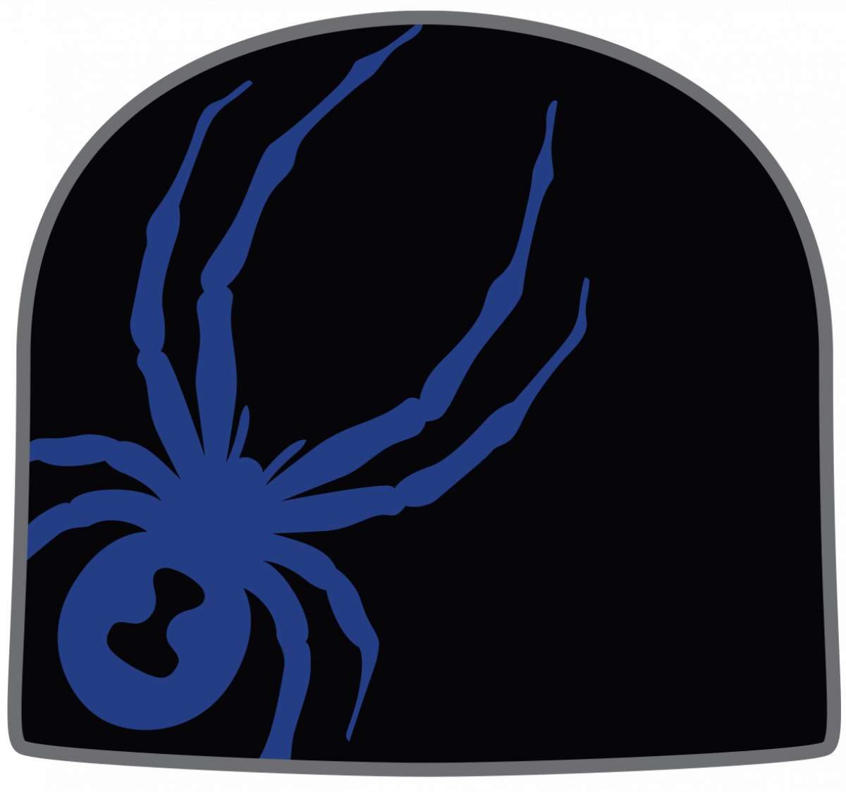 Spyder Arachnid Beanie 2024 — Ski Pro AZ